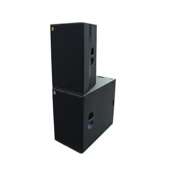 T24N Dual 12 Inch Loudspeaker With Excellent Speech Intelligibility And ...